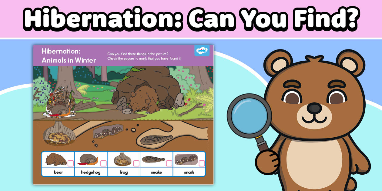 Hibernation: Animals in Winter Can You Find? Picture