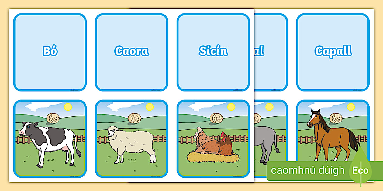 Ainmhithe Feirme Gníomhaíocht Mheaitseála (Teacher-Made)