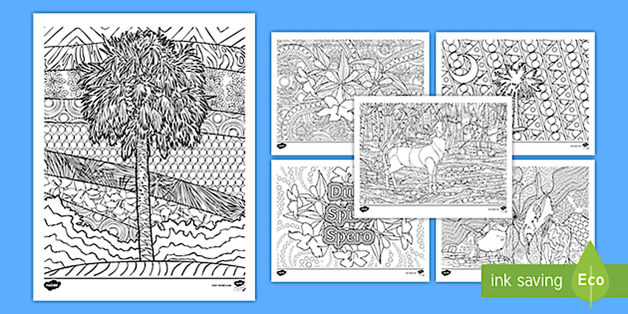 South Carolina State Symbols Mindfulness Coloring Sheets