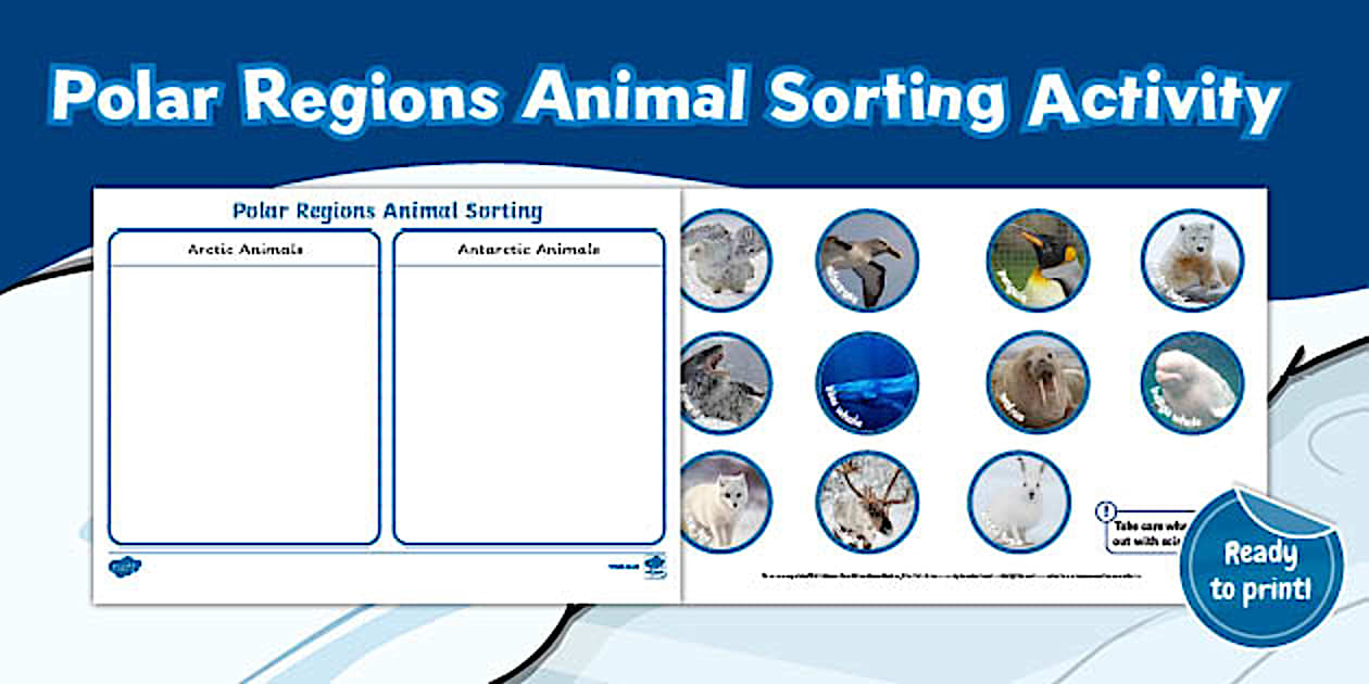 KS1 Polar Habitat Sorting Activity - Primary Resource