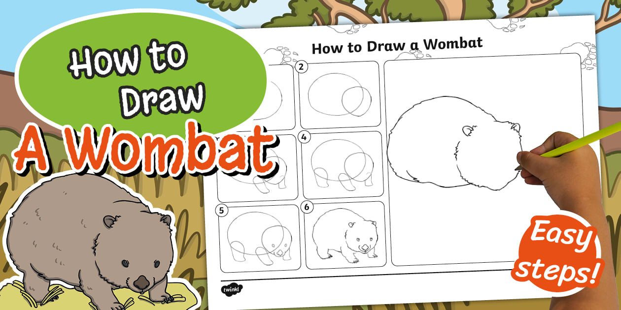 How to Draw a Wombat Activity (teacher made) - Twinkl