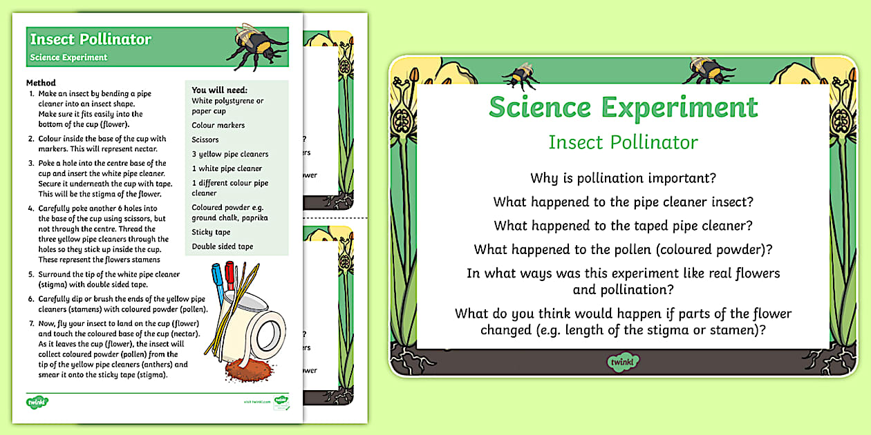 Insect Pollinator Science Experiment and Prompt Card