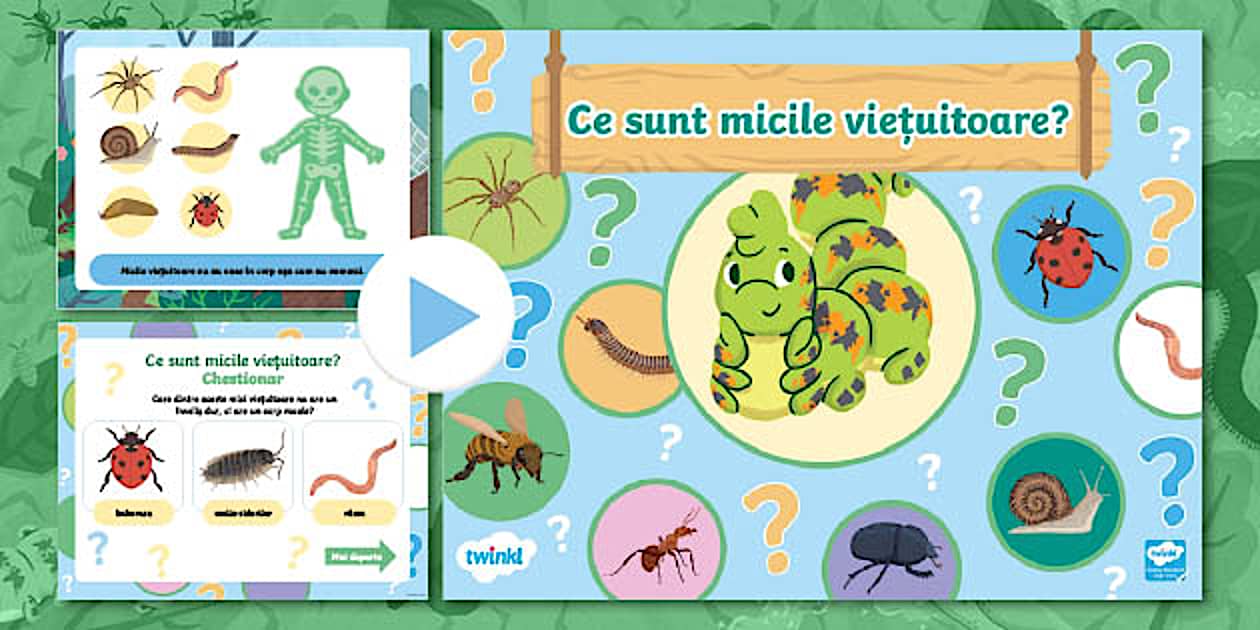 Ce sunt micile viețuitoare? – Prezentare și chestionar