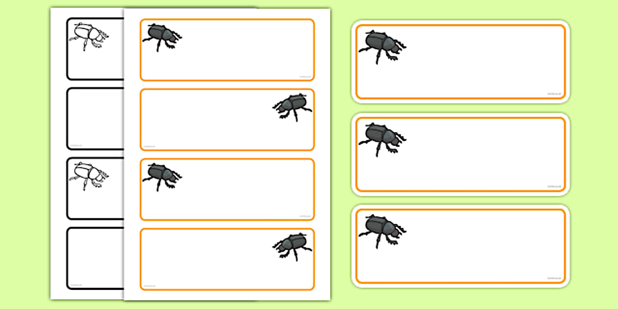 Black and White Beetle Themed Editable Drawer-Peg-Name Labels (Colourful)
