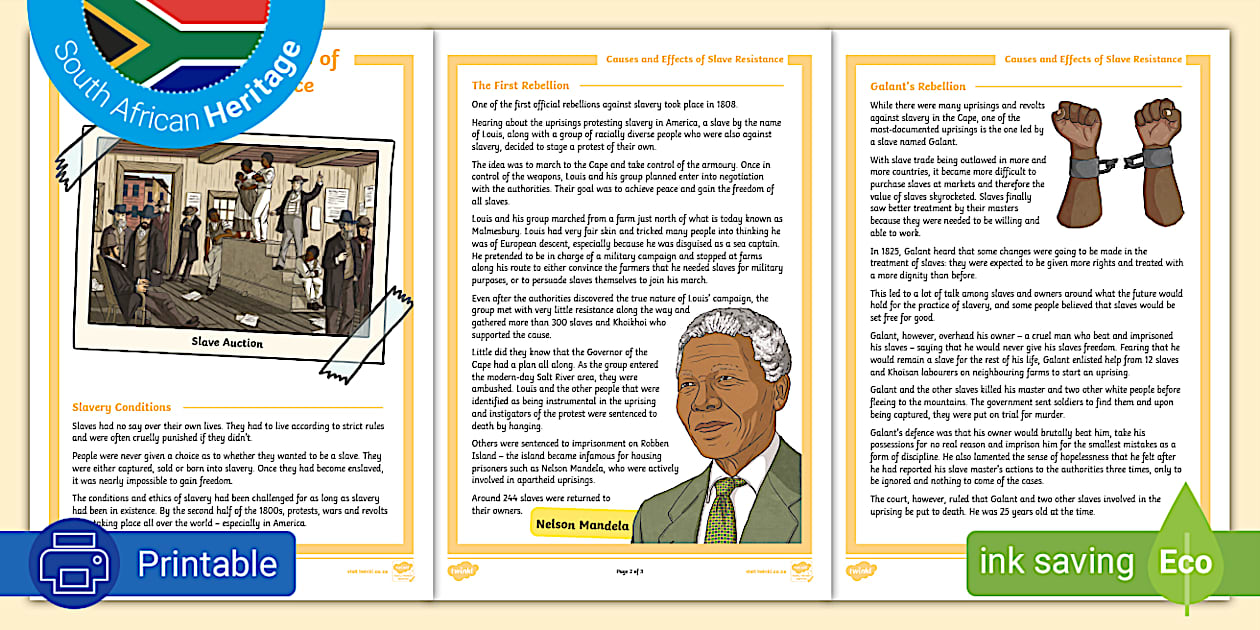 Causes and Effects of Slave Resistance at the Cape - Twinkl