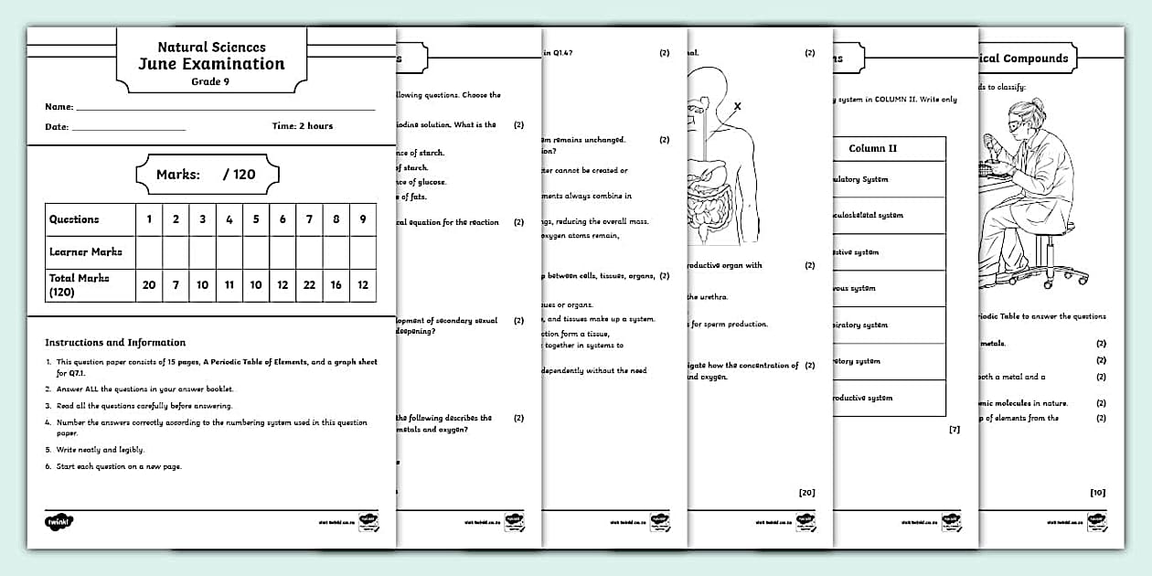 Grade 9 Natural Sciences June Exam & Memo - Twinkl