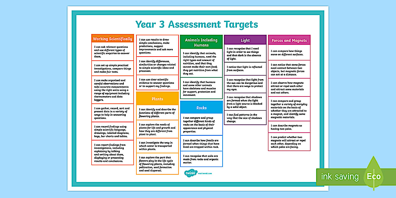 Year 3 Science Assessment Display Posters (teacher made)