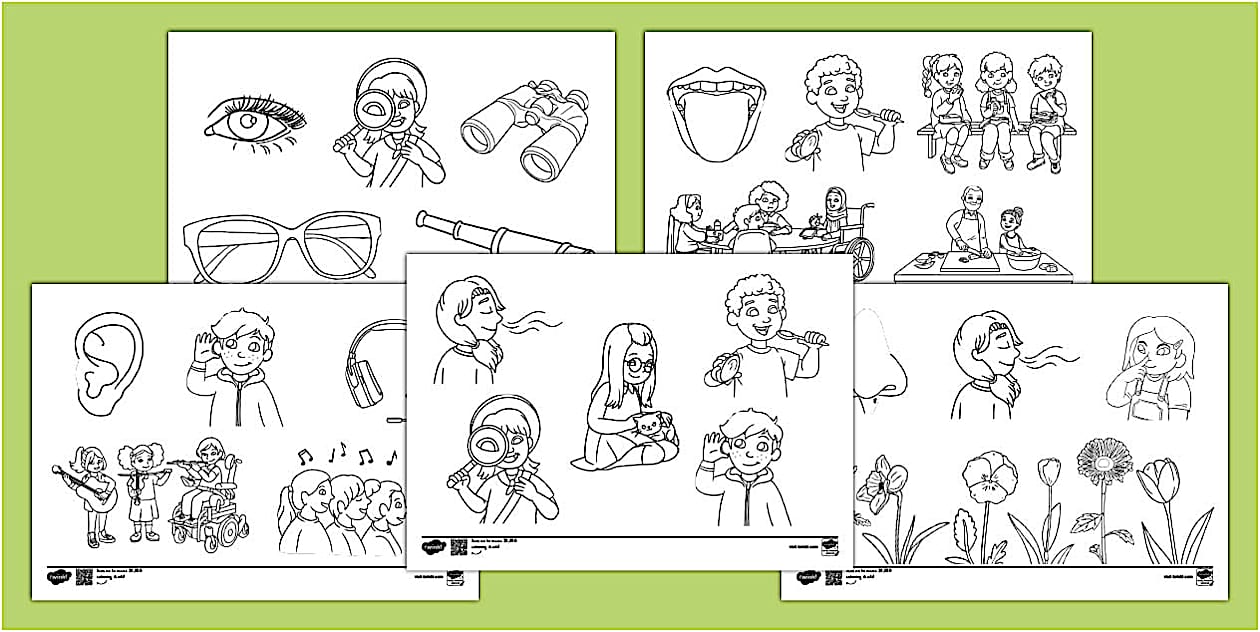5 Senses Colouring Page | Colouring Worksheets | Twinkl