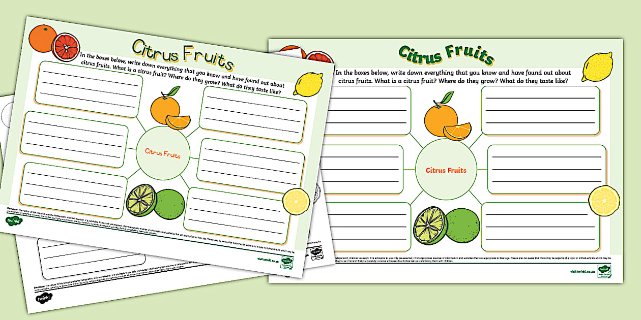 Citrus Fruit Mind Map (teacher made) - Twinkl