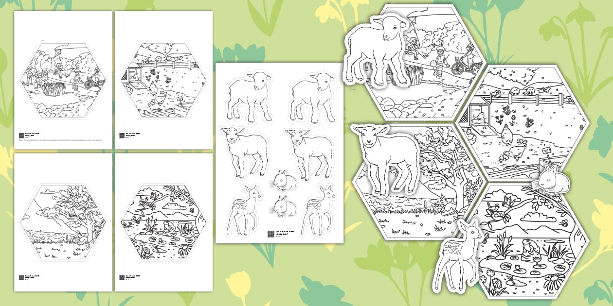 Spring Hexagon Display Colouring Activity (Teacher-Made)