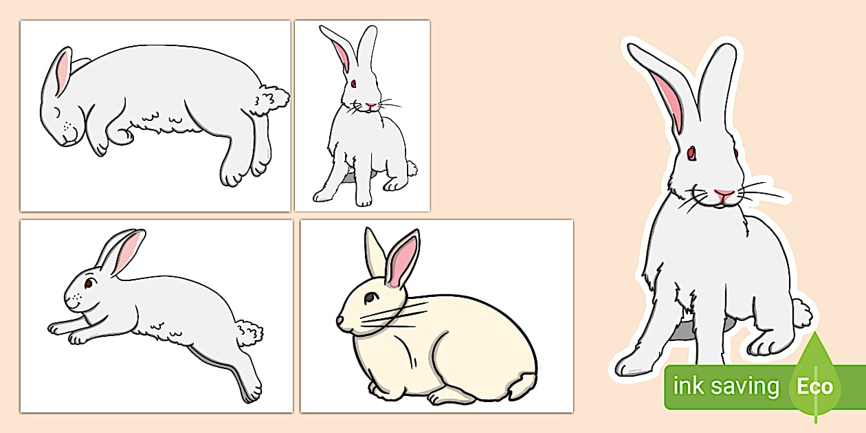 White Rabbit Display Cut-Outs (teacher made) - Twinkl
