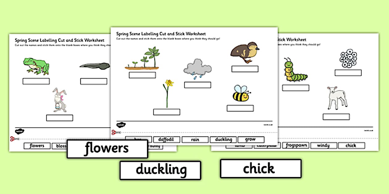 Springtime Scene Labelling Cut and Stick Worksheet - Twinkl