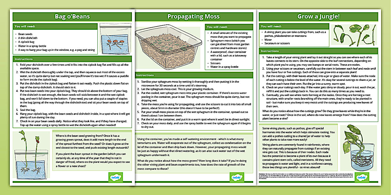 Level 3-4 Life Processes: A Growing Understanding - Twinkl