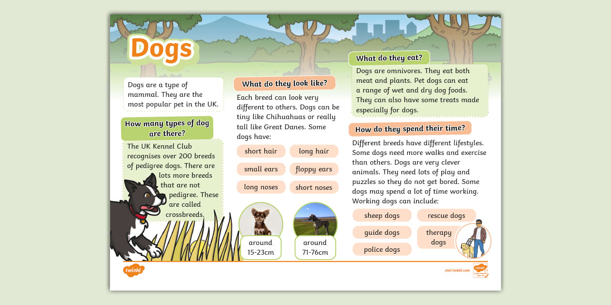 KS1 Dogs Fact File - Science - Animals (teacher made)