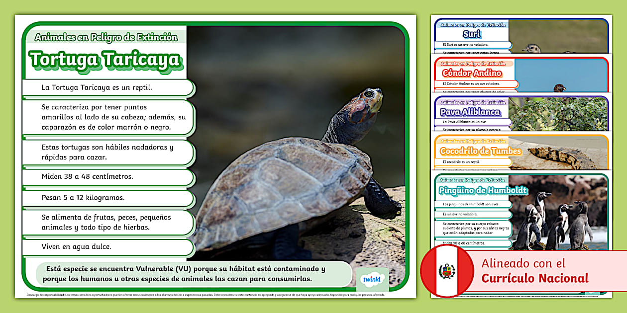 Posters: Animales del Perú en peligro de extinción