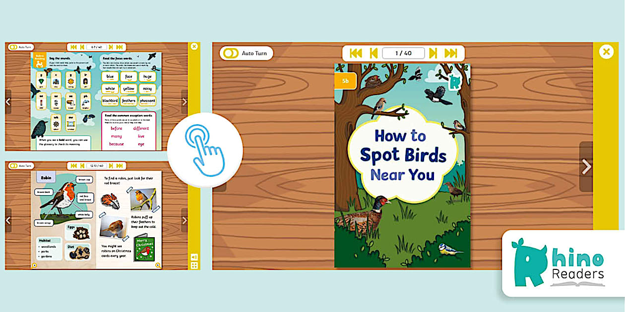 Non-Fiction 5b Phonics Book | How to Spot Birds Near You