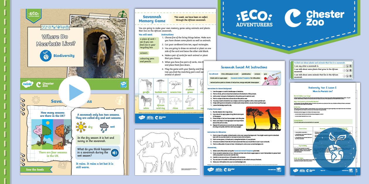 Year 2 Biodiversity: Lesson 2 - Where Do Meerkats Live?