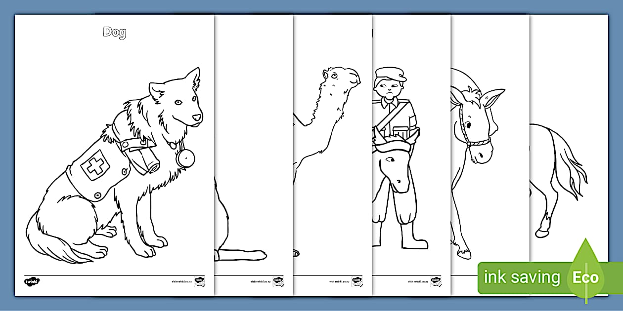 Anzac Animals Colouring Sheet (teacher made) - Twinkl