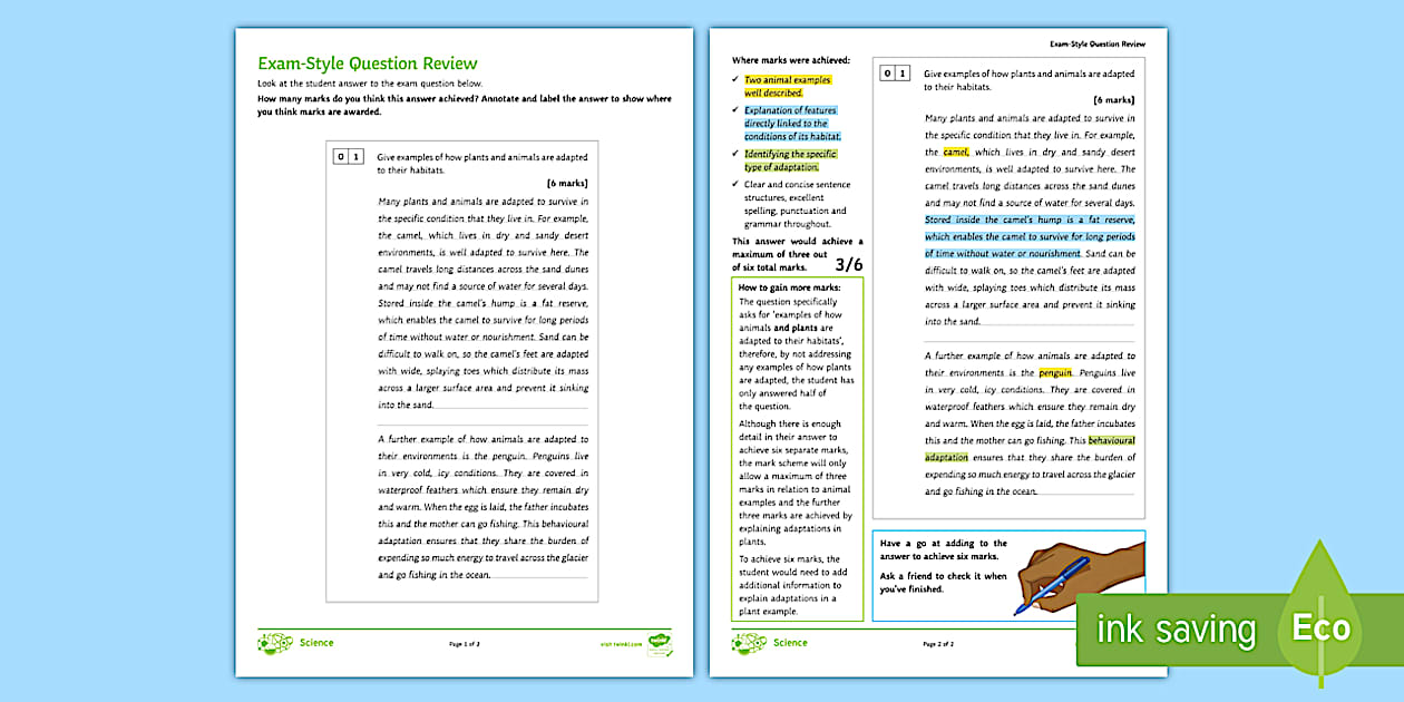 Adaptations Exam-Style Question Review and Practice Worksheet
