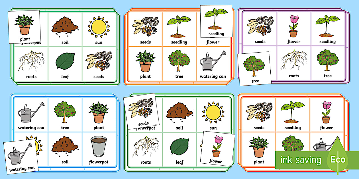 Flower Bingo Cards | Primary Resources | Printable - Twinkl