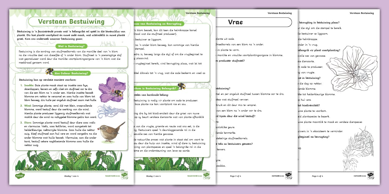 Verstaan Bestuiwing (teacher made) - Twinkl