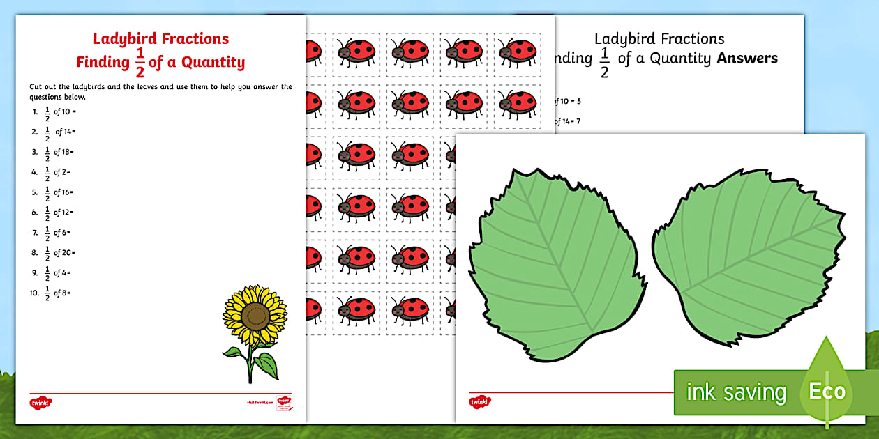 Finding Half of a Number Activity | Primary Resources