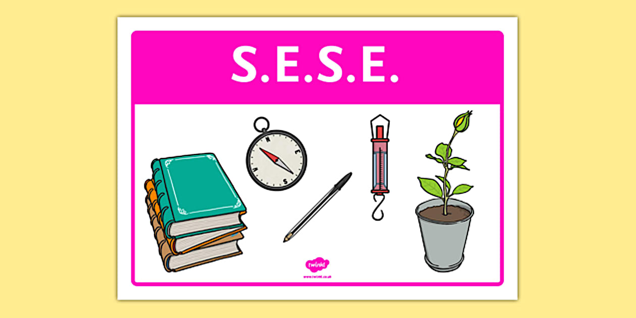 Black and White SESE Classroom Area Sign (teacher made)