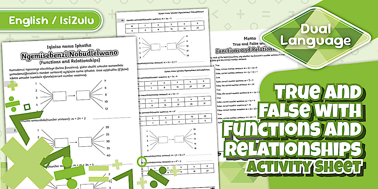 True and False with Functions and Relationships Activity Sheet