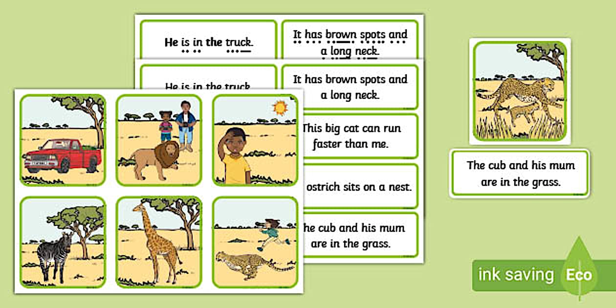 Safari Simple Sentence Matching Activity (teacher made)
