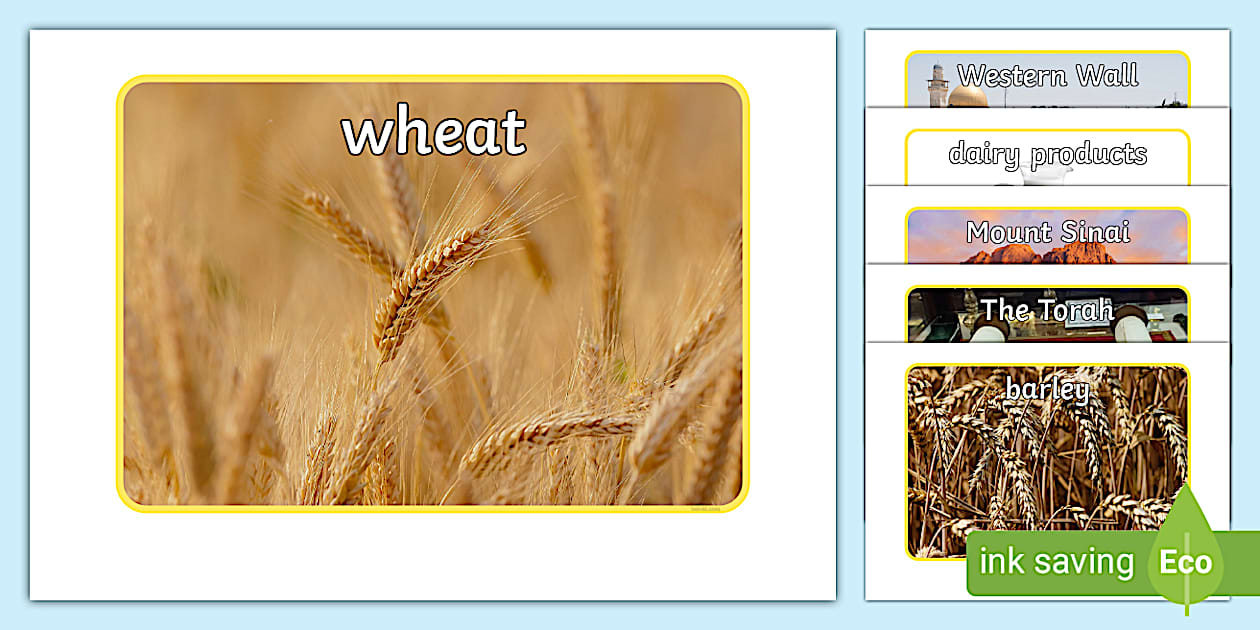 Shavuot Pictures Display Pack| Judaism |Shavuot| Twinkl