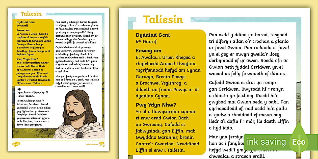 Ffeil Ffeithiau Taliesin (teacher made) - Twinkl