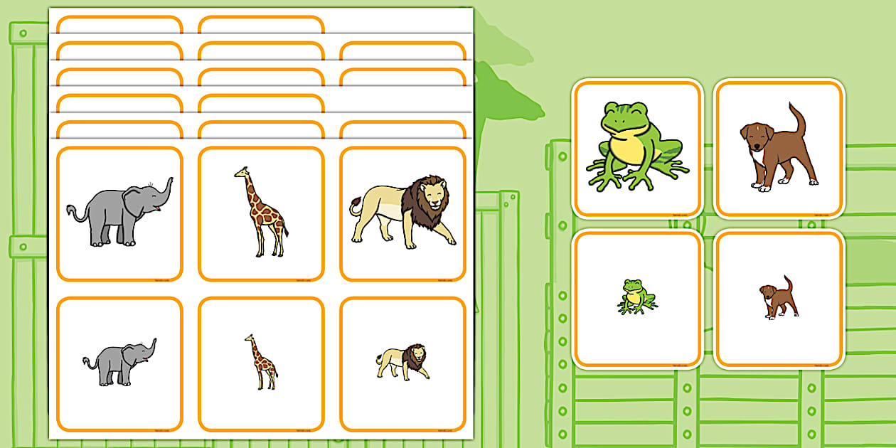 Matching Size Activity (Teacher-Made) - Twinkl
