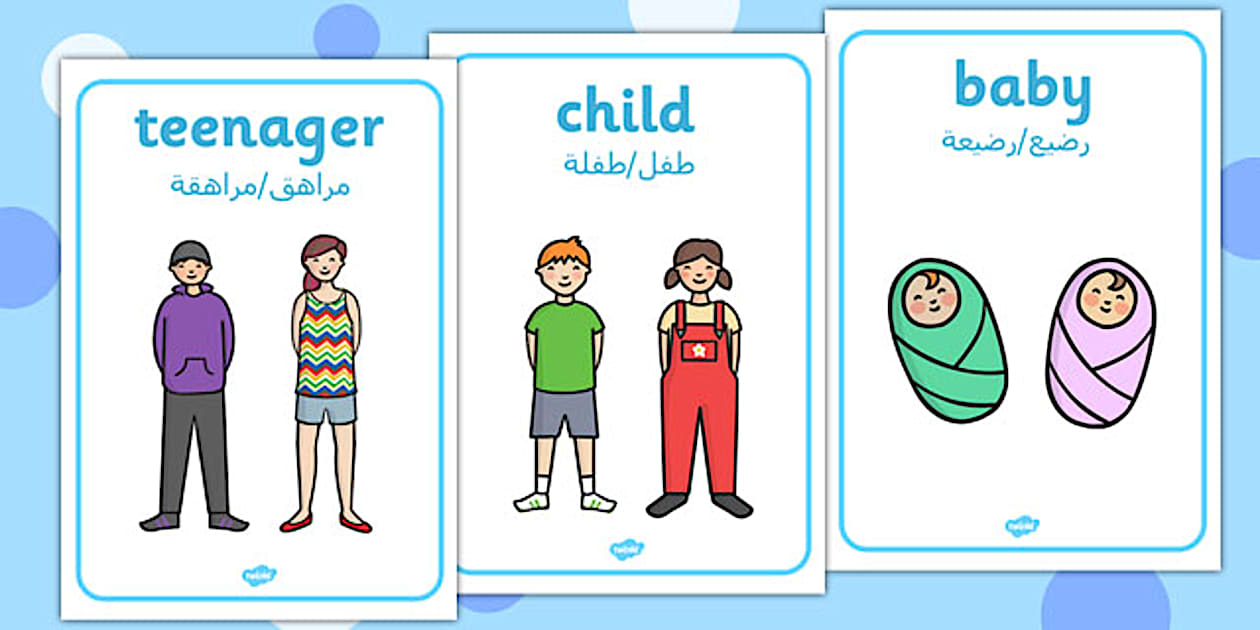 👉 Human Growth Display Posters Arabic Translation