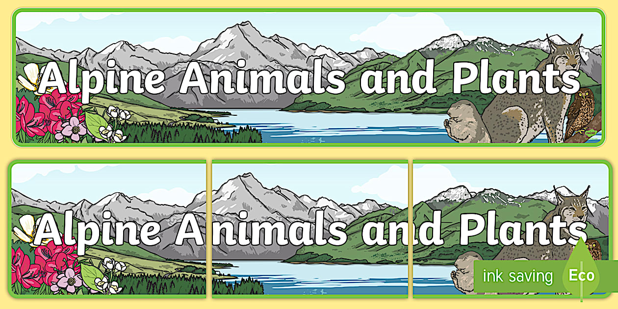Alpine Animals and Plants Display Banner - Twinkl