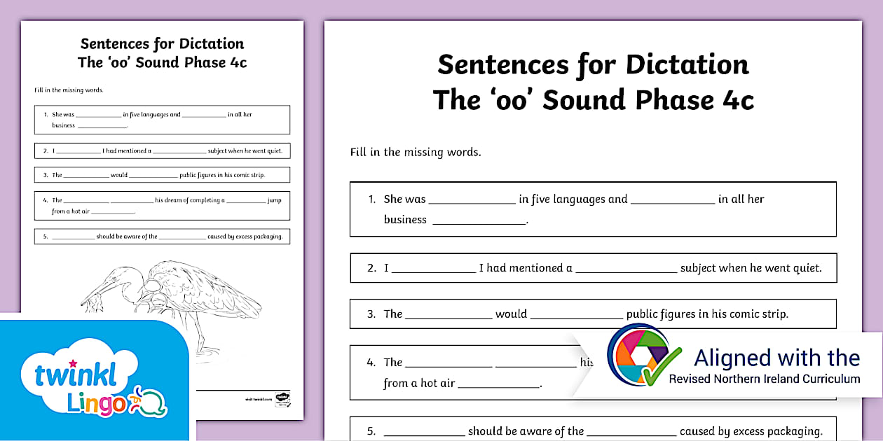 Linguistic Phonics Phase 4c 'oo' Dictation Sentences Teacher Worksheet