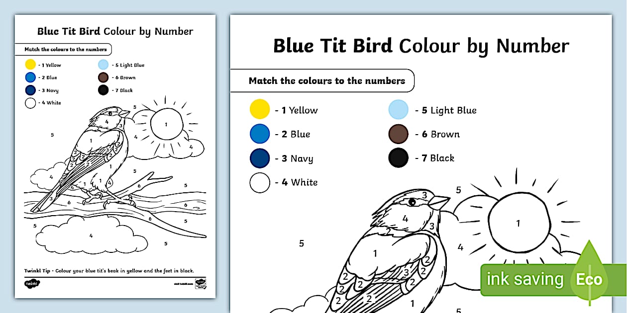Blue Tit Bird Colour by Number Activity (teacher made)