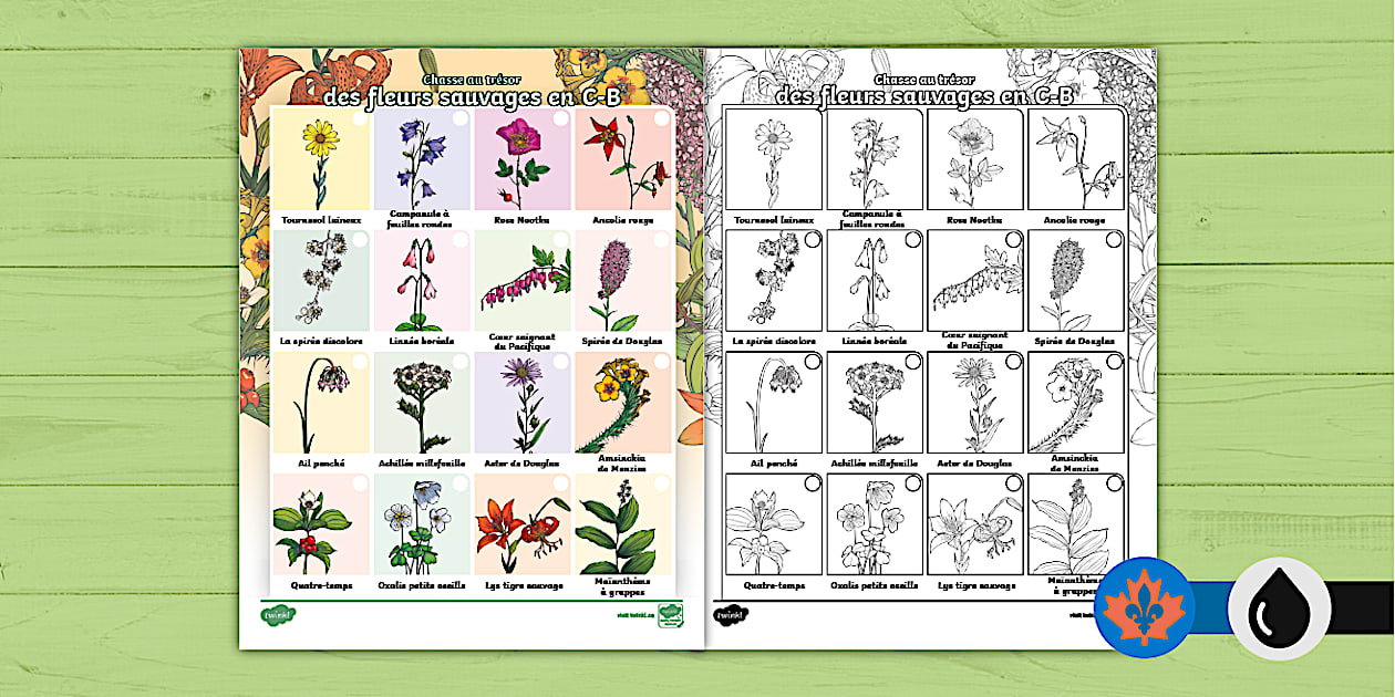 British Columbia Summer Wildflowers Scavenger Hunt French