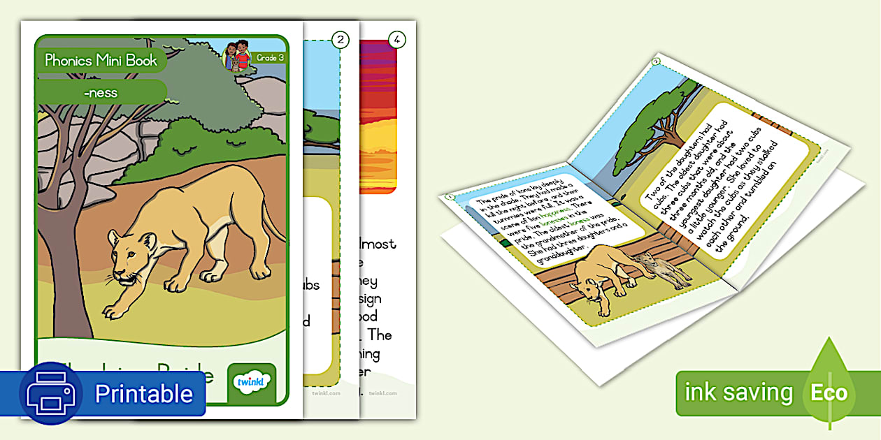 Grade 3 Phonics Mini Book -ness (teacher made) - Twinkl