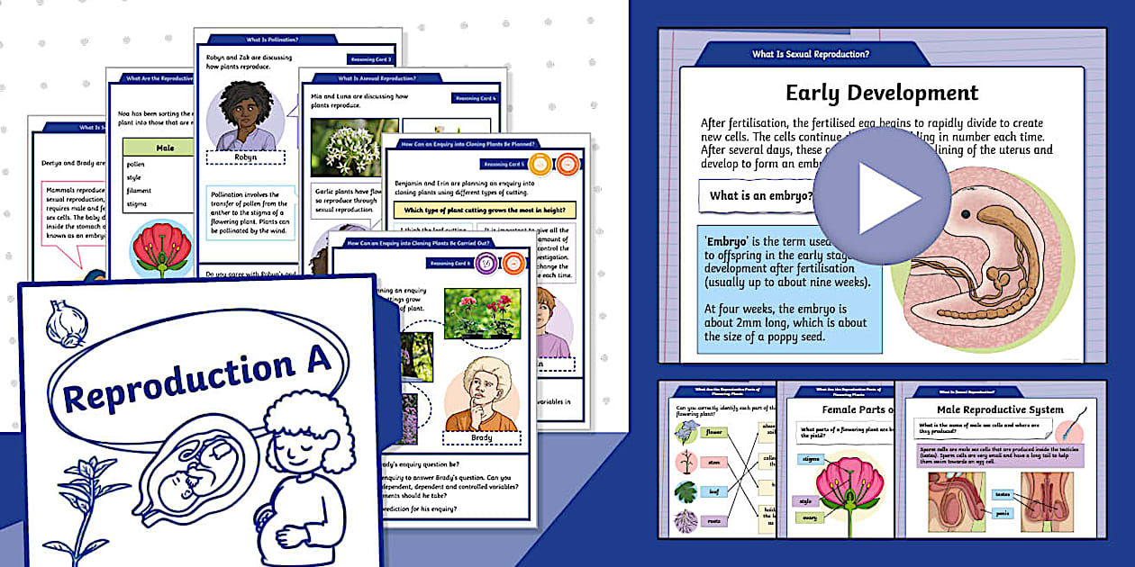 Step into Science: Year 5: Summer: Block 1: Reproduction A Steps 1 to 6