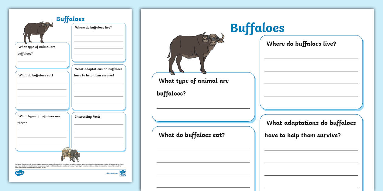 Buffaloes Fact File Template, Buffalo, Buffaloes - Twinkl