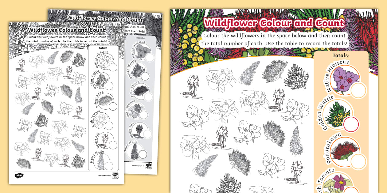 * NEW * Wildflower Colour and Count Worksheet - Twinkl