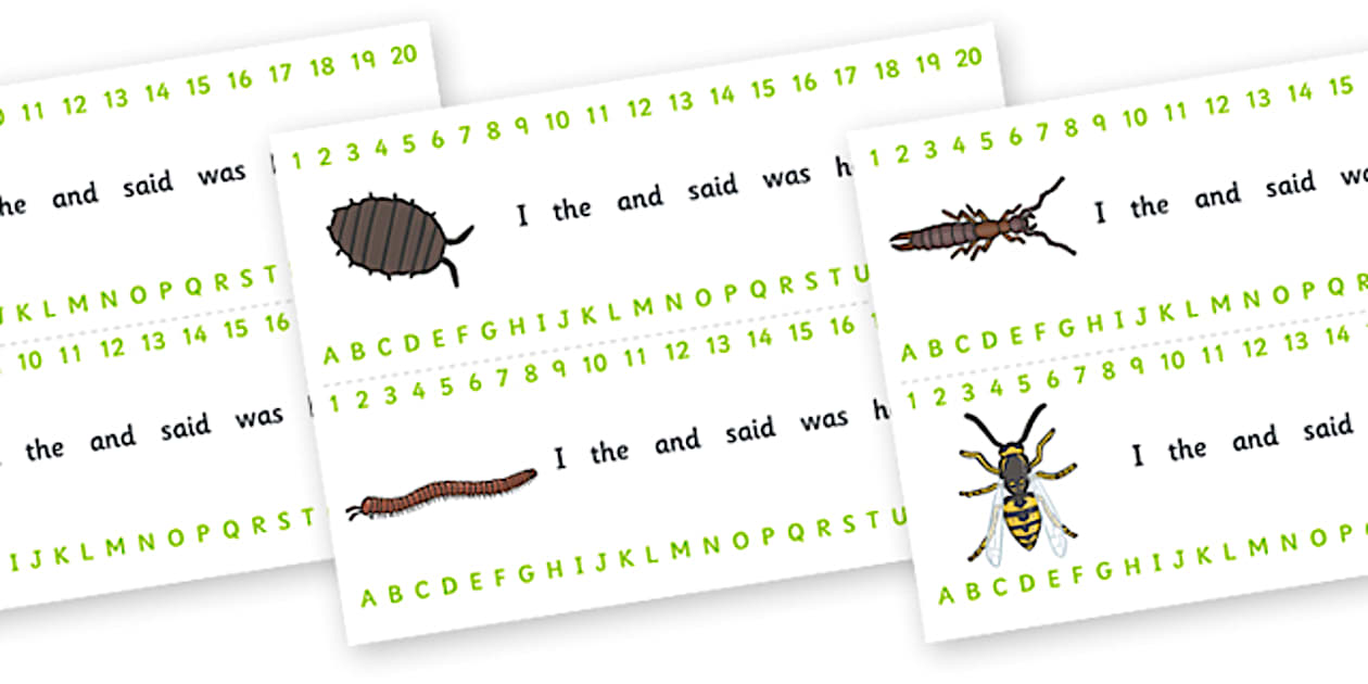 Cursive Minibeasts Combined Number and Alphabet Strips - Editable (Detailed