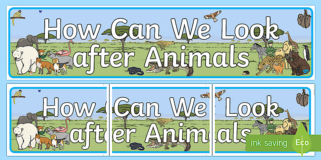 👉 How Can We Look After Animals Display Banner - Animals Display Banner