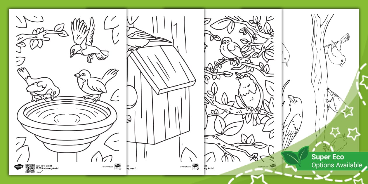 Garden Birds Colouring Page (teacher made) - Twinkl