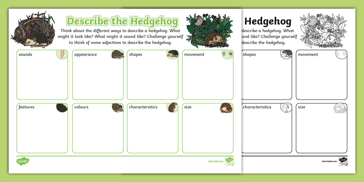 Hedgehog Adjectives Worksheet (teacher made) - Twinkl