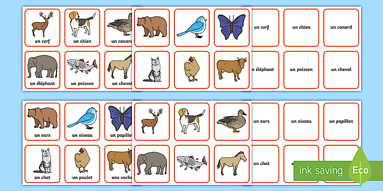 Jeu de paires et mémoire sur les animaux | Cycle 1