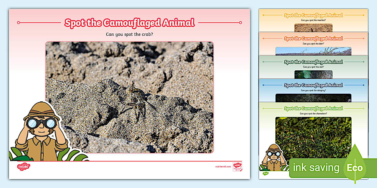 Spot the Camouflage Animal Activity Pack - Animals - Twinkl