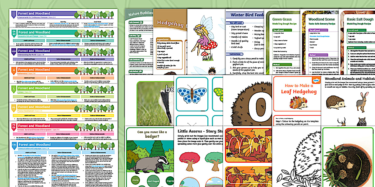 EYFS Forest & Woodland Plan & Continuous Provision Pack 2-4