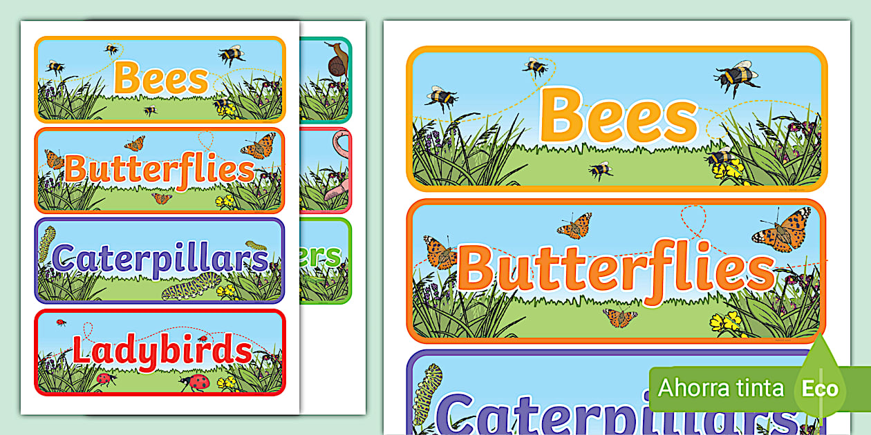 * NEW * Editable Class Group Signs (Minibeasts) - Twinkl