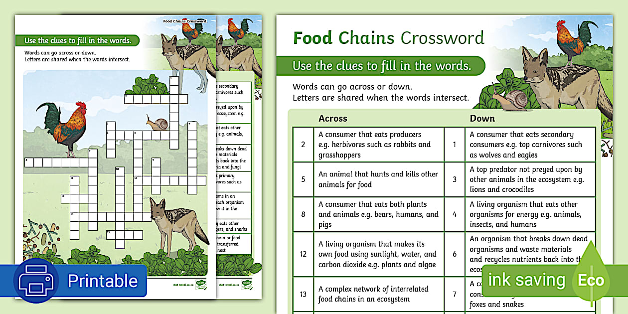 Food Chains Crossword